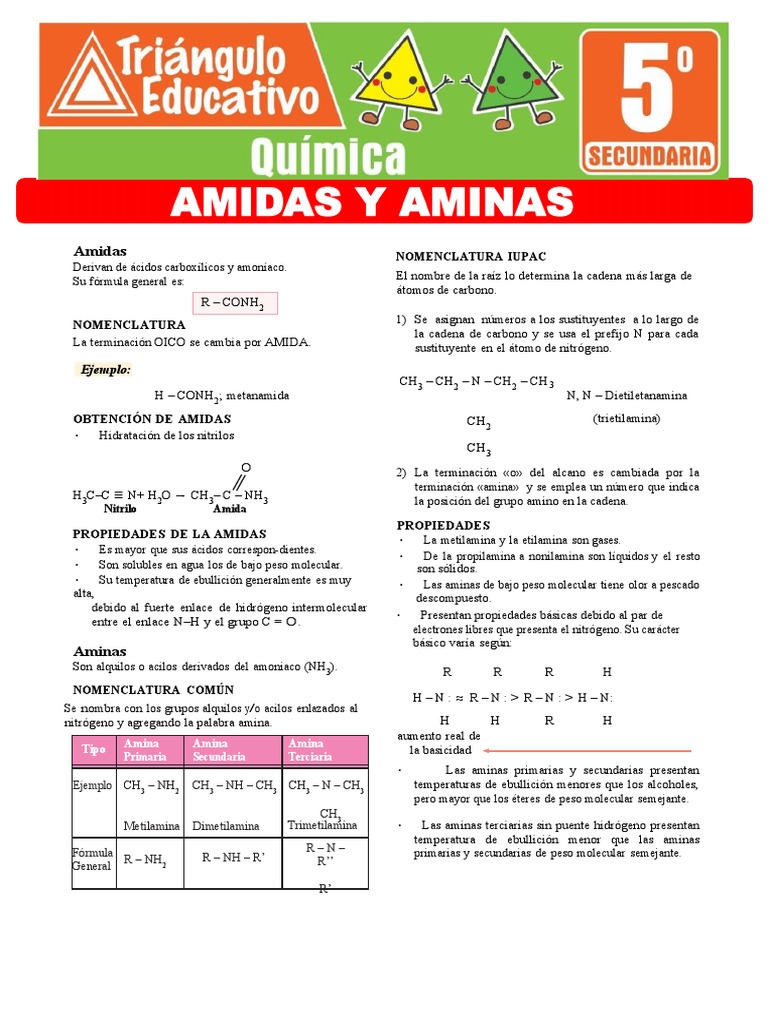 Ficha Amidas y Aminas | Descargar gratis PDF | Amina | Amida