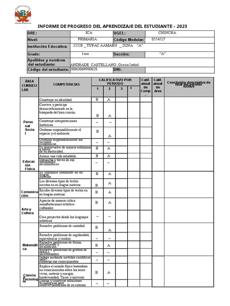 Informe de Progreso de Aprendizaje de Estudiante PRIMARIA - 22528 | PDF ...