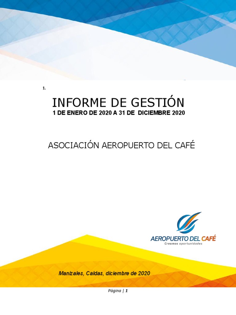 Informe de Gestion 2020 | PDF