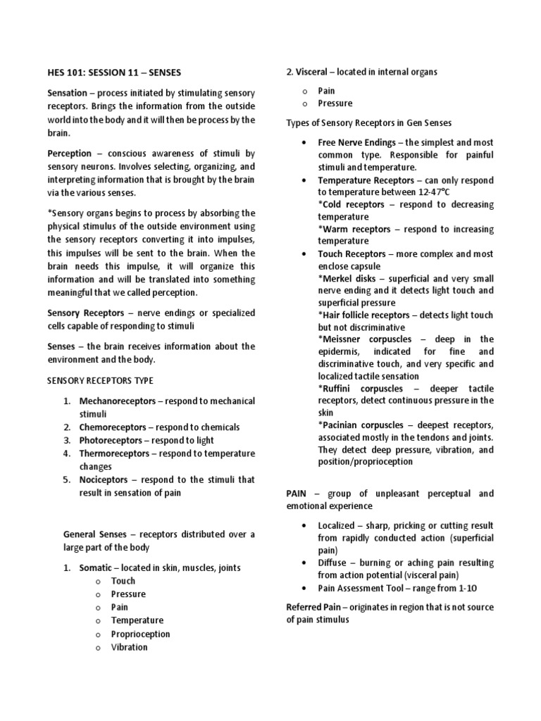 HES 101: Understanding the Senses | PDF | Senses | Somatosensory System