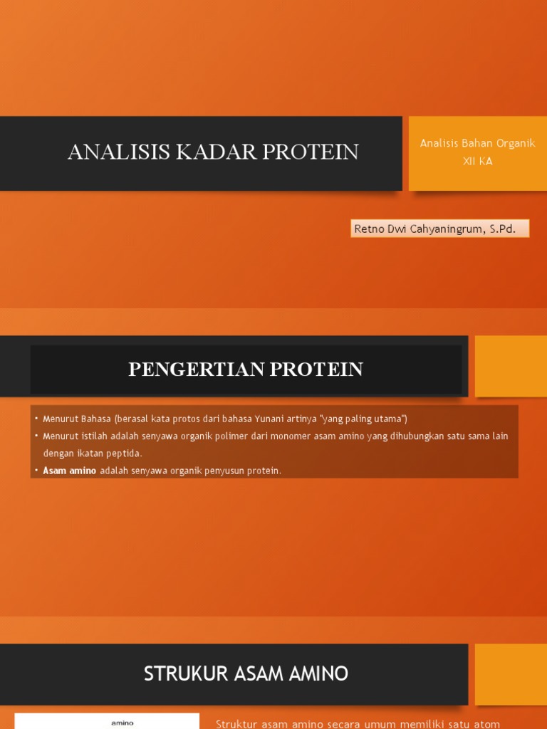Materi Analisis Kadar Protein | PDF