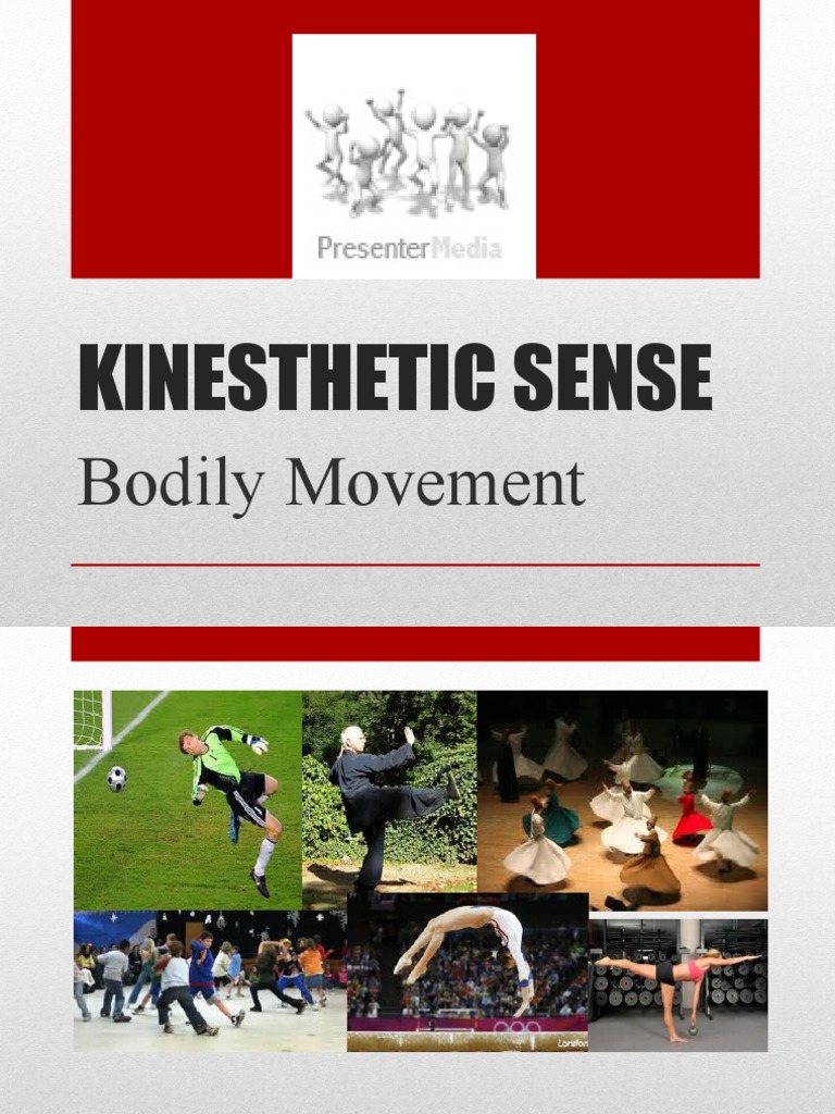 Kinesthetic Sense | PDF | Science & Mathematics