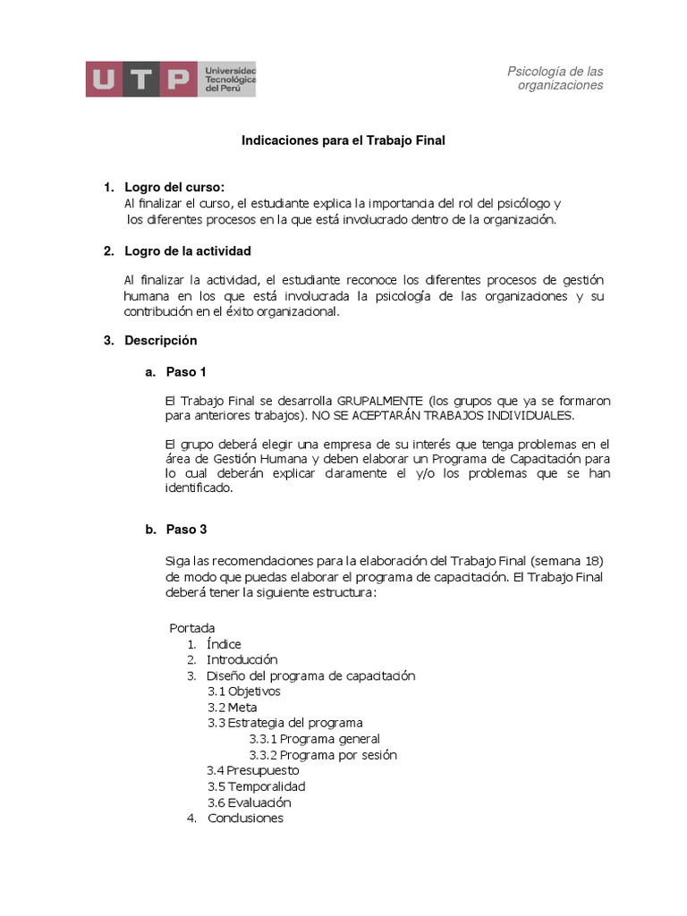 Semana 18 - PDF - Indicaciones para El Trabajo Final - VF | PDF