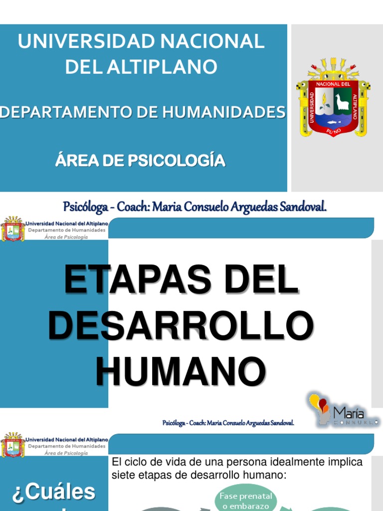Etapas Del Desarrollo Humano | PDF | Adolescencia | Adultos
