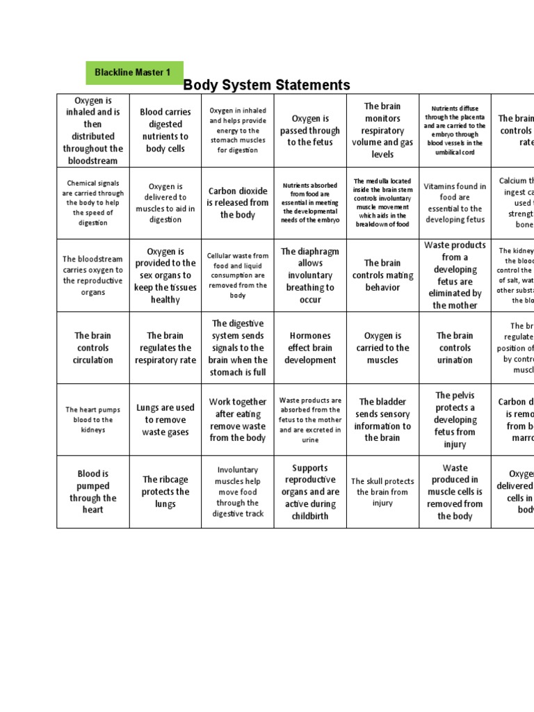 Homeostasis Worksheet | Download Free PDF | Human Body | Blood