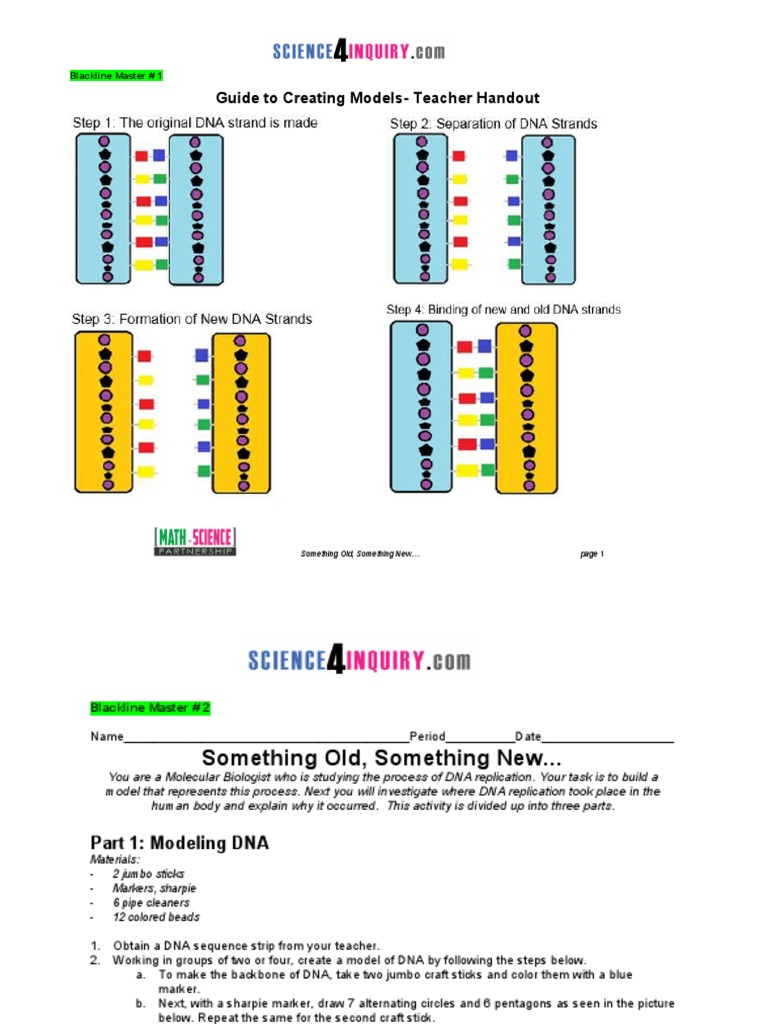Dna Replication Final Worksheet | PDF | Primer (Molecular Biology) | Dna