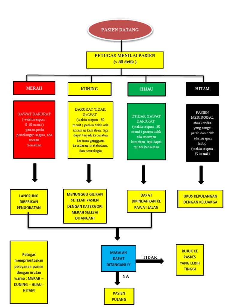 15 Alur Triase | PDF