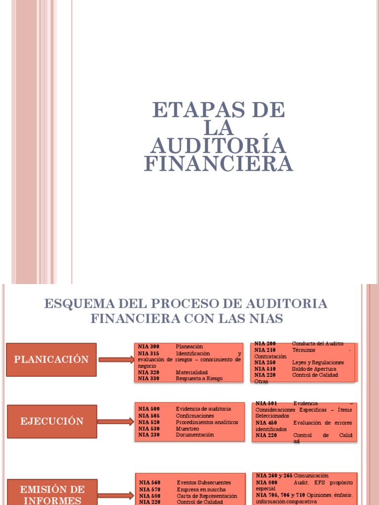 Etapas de La Auditoria | PDF | Auditoría | Planificación