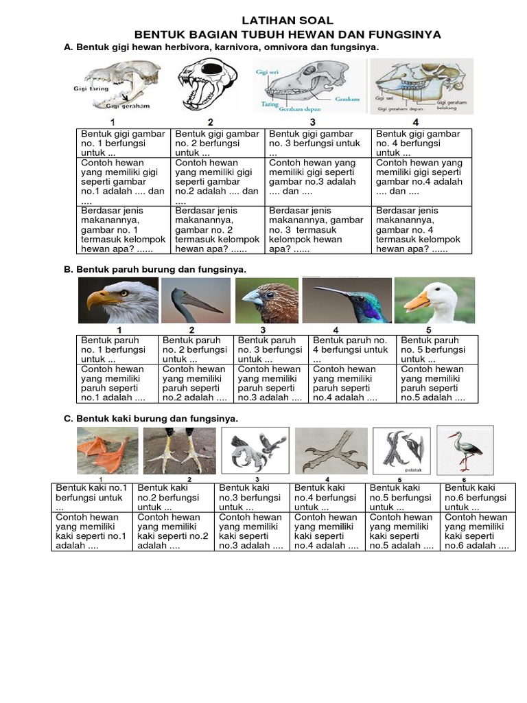 LATIHAN SOAL Hewan - 2 Kolom | PDF