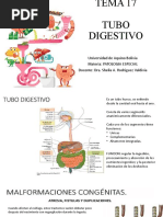 Ficha Técnica Quantrel | PDF | Medicamentos con receta | El embarazo