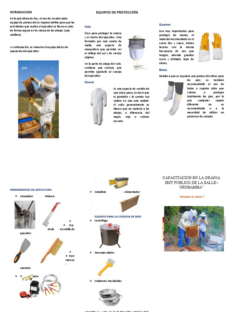 Triptico de ABEJAS | PDF | Apicultor | Apicultura