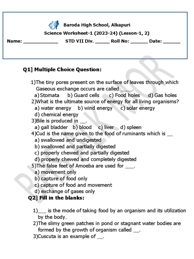 Class 7 Science Worksheets 2023-24 | PDF | Thermometer | Digestion