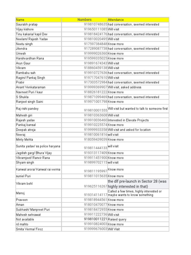 Ad Campaign Leads | PDF Ad Campaign Leads | PDF
