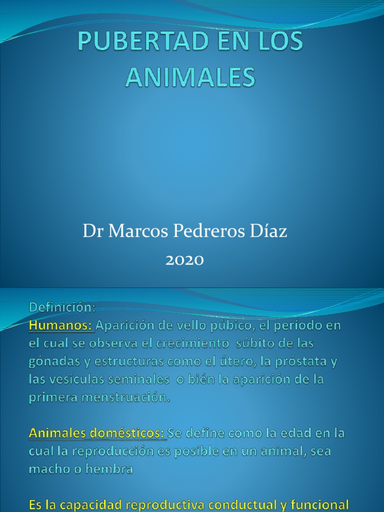 Edad y Factores de la Pubertad en Animales | PDF | Hormona luteinizante ...
