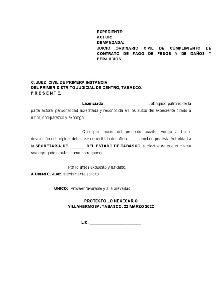 Devolver Acuse Al Juzgado | PDF