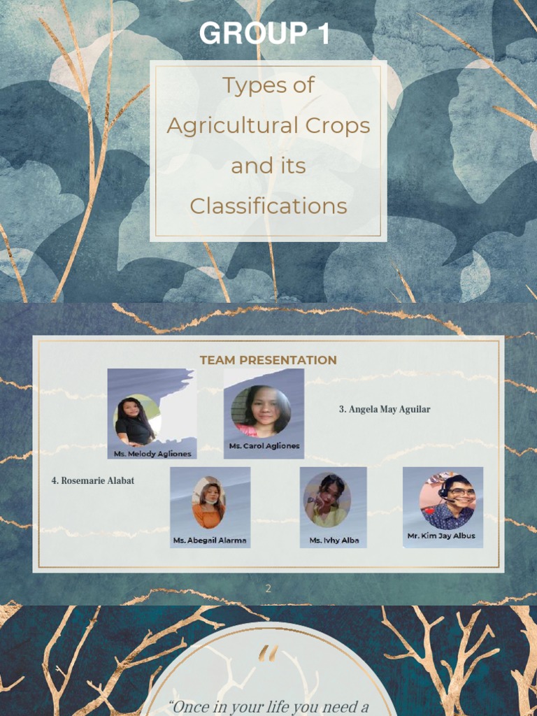 Group 1 Agricultural Crops and Its Classifications | PDF | Biofuel ...