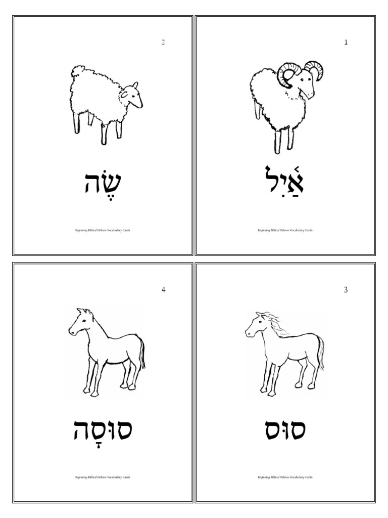 Biblical Hebrew Vocabulary Cards | PDF | Western Calligraphy | Middle ...