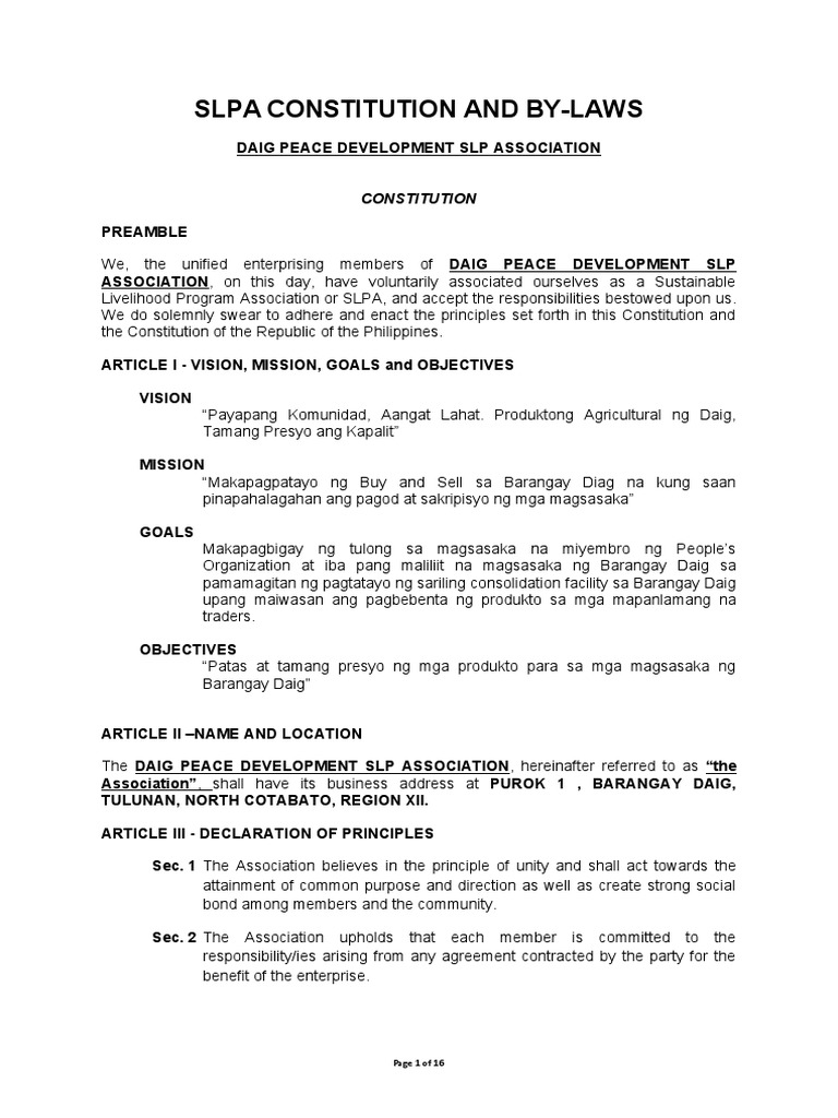 Daig Peace Development SLPA Constitution | PDF | Board Of Directors | Banks