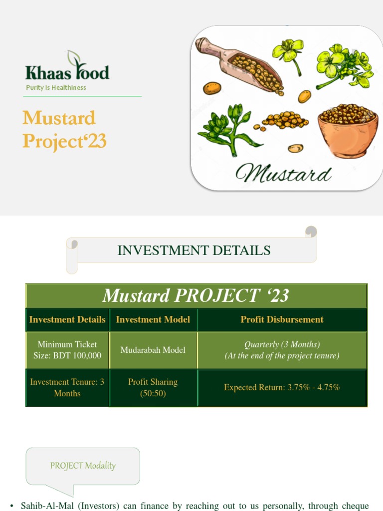 Mustard - Investmet Proposal | PDF | Investing | Payments