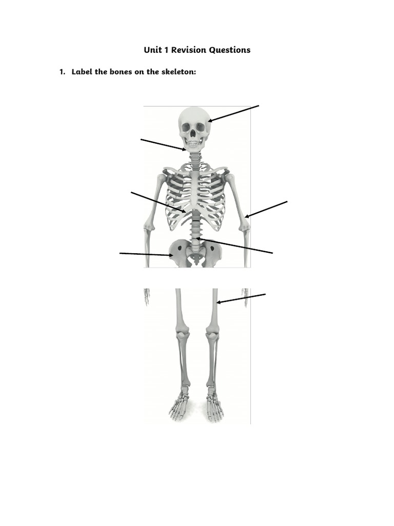 G3 - Unit 1 Revision Questions | PDF