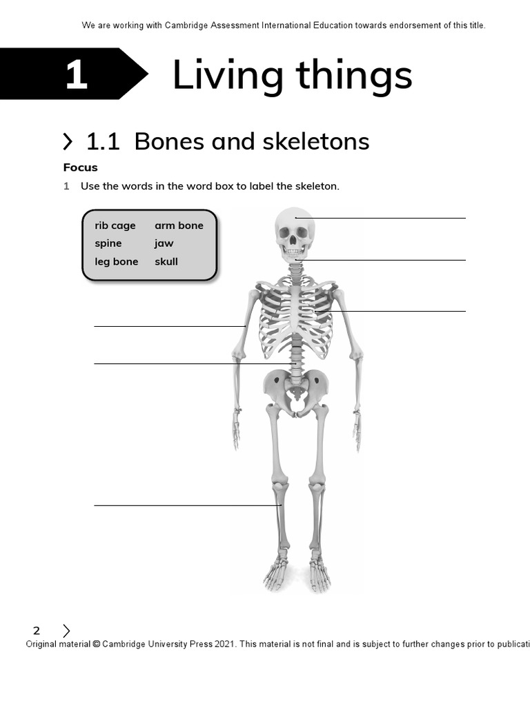 Workbook - 1 - 1 and 1 - 2 | PDF | Skeleton | Bone