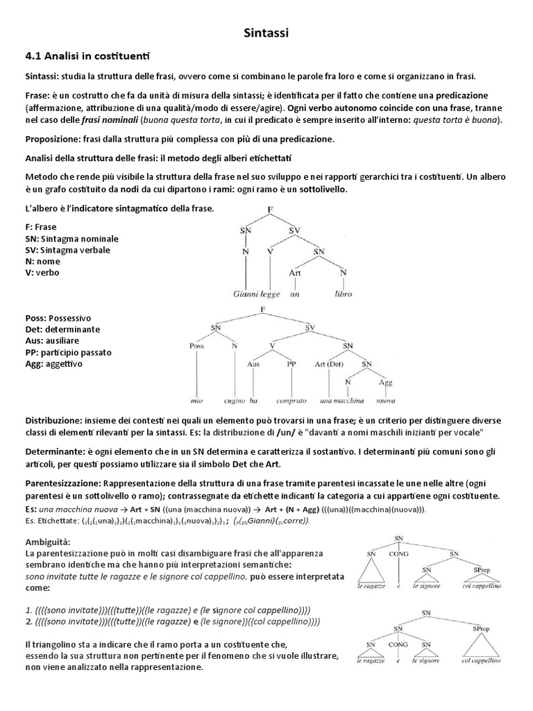 Linguistica Cap IV - Sintassi | PDF