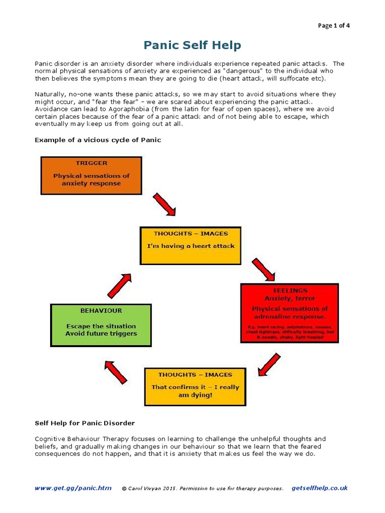 Panic Self Help | PDF | Panic Attack | Agoraphobia
