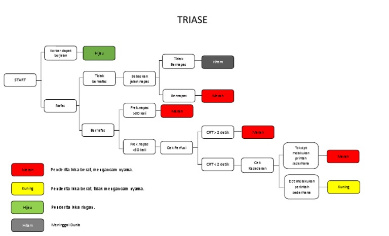 Algoritma Triase START Keperawatan | PDF