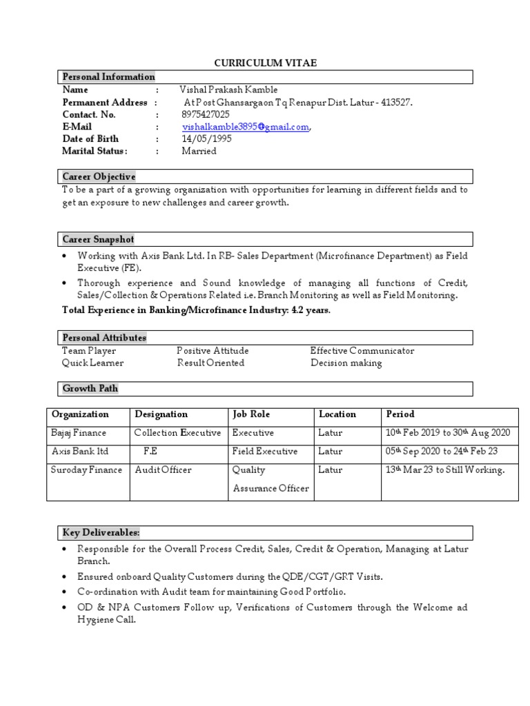 CV Vishal Kamble | PDF | Business