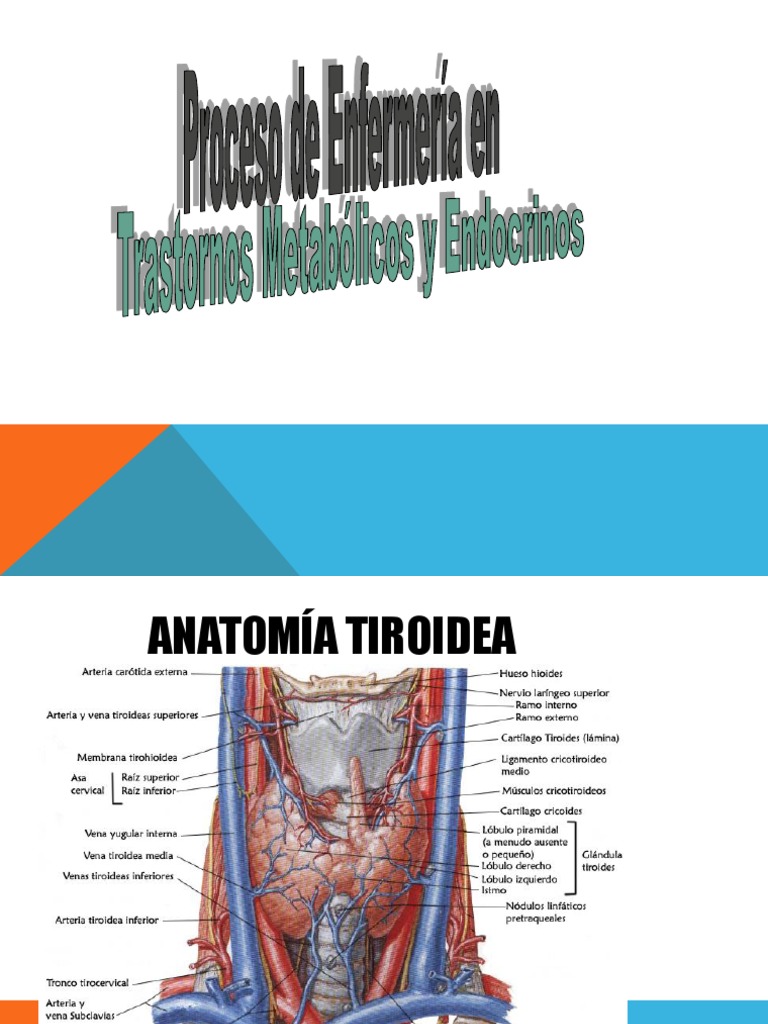 ENFERMERIA MEDICA TEMA 9 Hipo e Hipertiroidismo | PDF | Tiroides ...
