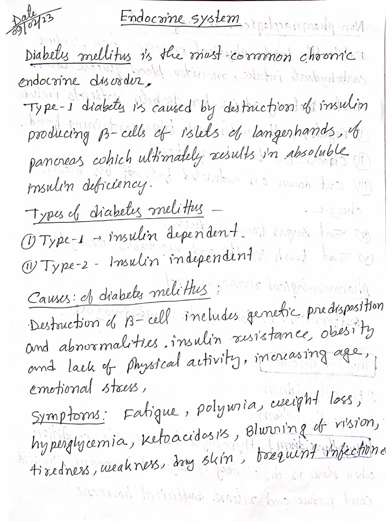 Endocrine System | PDF