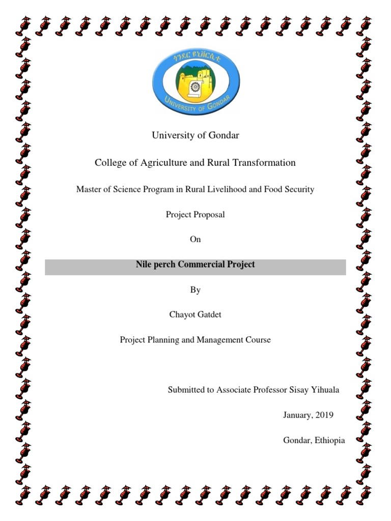 Nile Perch Commercial Project Proposal P | PDF | Infrastructure | Expense