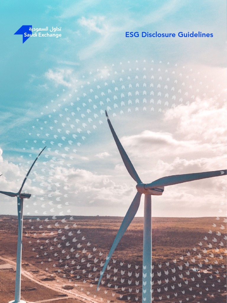 ESG Disclosure Guidelines | PDF | Sustainability | Business ESG Disclosure Guidelines | PDF | Sustainability | Business