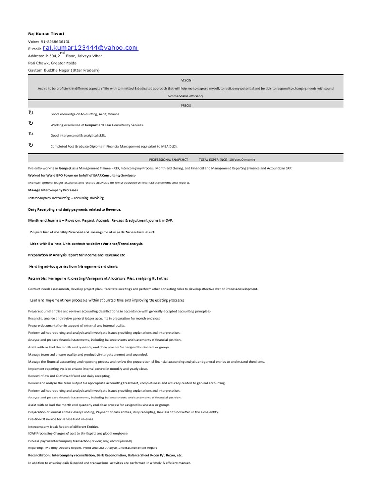 Raj Kumar CV | PDF | Balance Sheet | Accounting