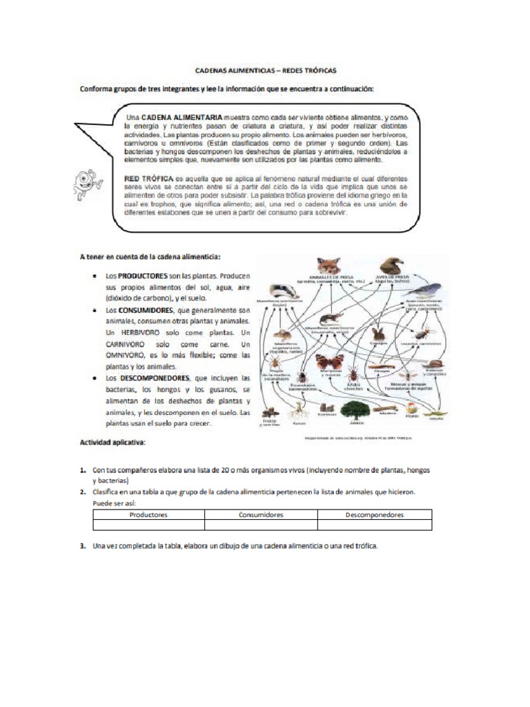 Cadenas Tróficas | PDF