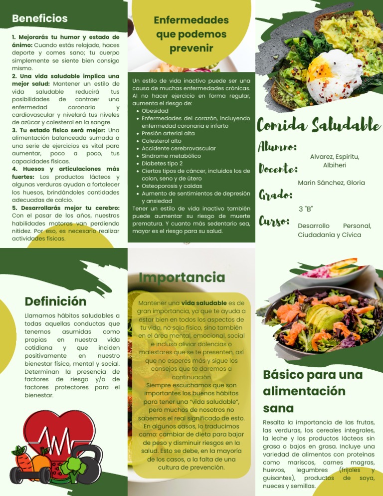 Triptico Vida Saludable - Albiheri | PDF | Enfermedades y trastornos ...