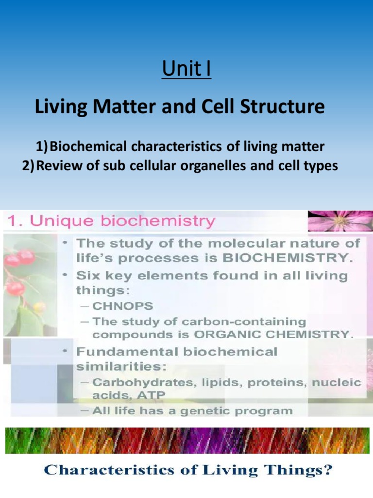 Unit I Biochem | PDF