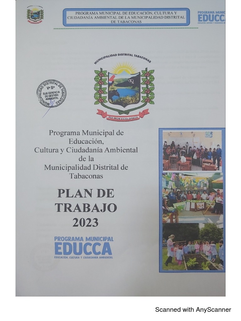 Plan de Trabajo Educca MDT | PDF