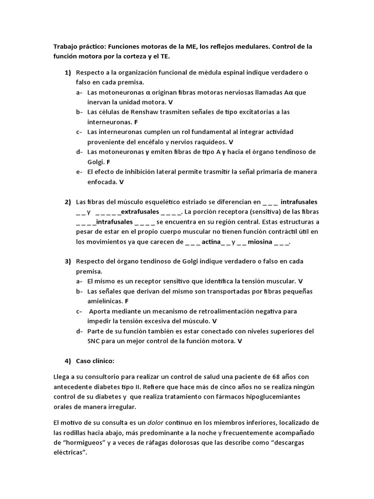 TP Funciones Motoras de La ME y Otros 2023 Con Respuestas | PDF ...