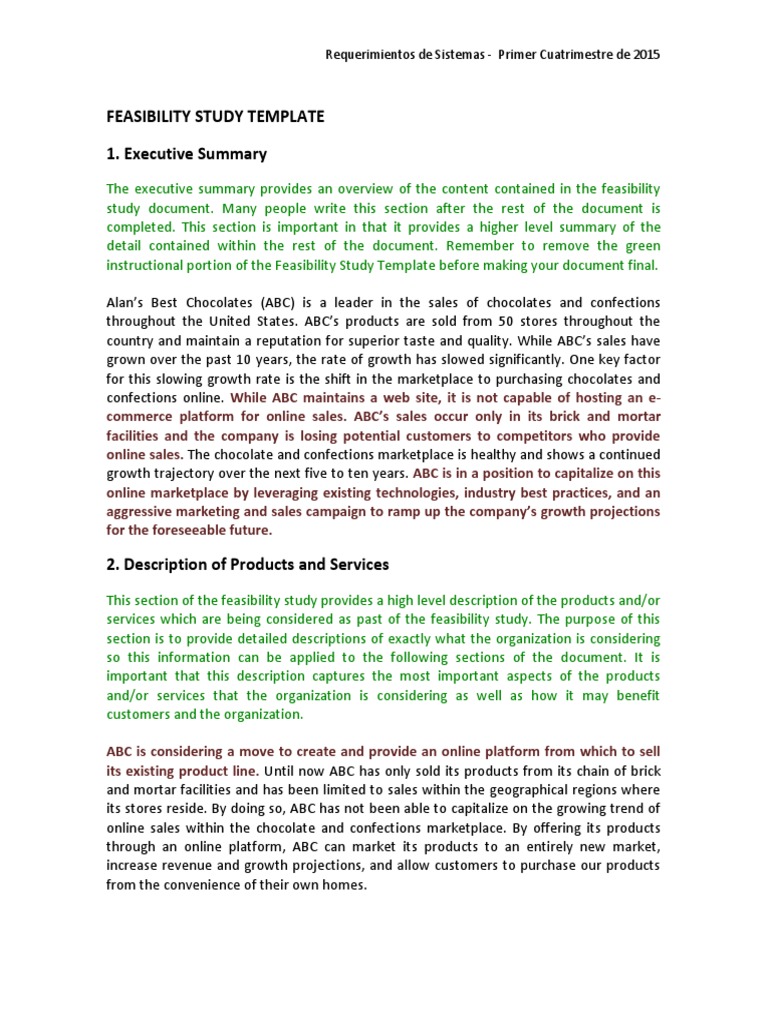 Feasibility Study Example | PDF | Marketing | E Commerce