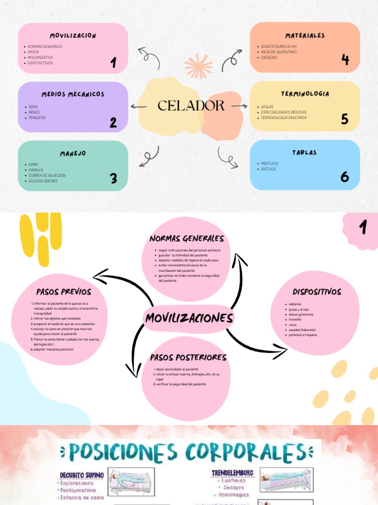 Celador Esquema | Descargar gratis PDF | Sangre | Dolor lumbar