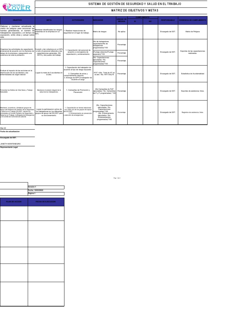 Formato Matriz de Objetivos y Metas | PDF