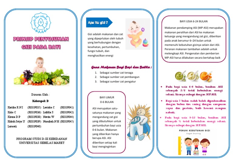 Leaflet Prinsip Pemenuhan Gizi Pada Bayi | PDF | Kesehatan Holistik