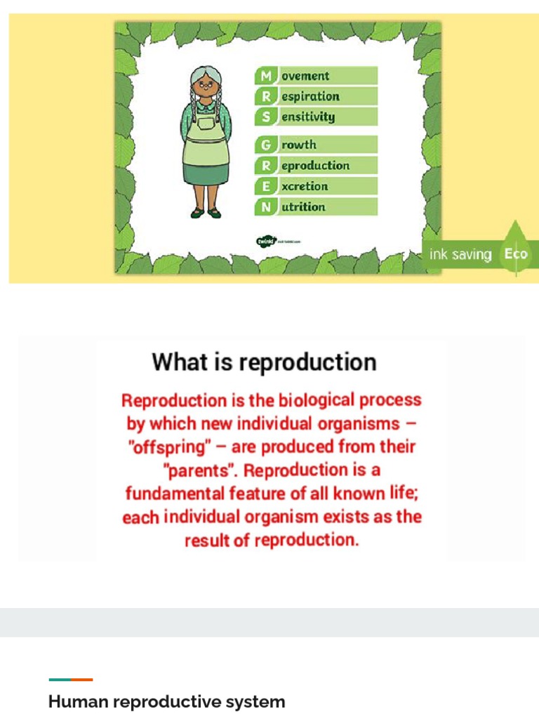 Reproduction in Humans - Grade 8 | PDF