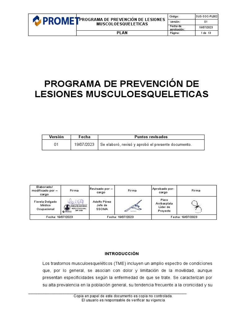 Programa de Prevencion de Lesiones Musculoesqueleticas | PDF | Seguridad y salud ocupacional ...