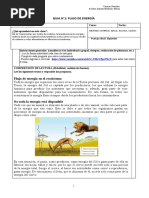 Flujo de Energía en Ecosistemas | PDF | Organismos | Naturaleza