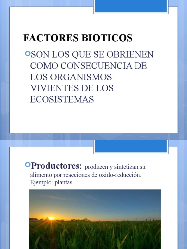 FACTORES BIOTICOS y Abioticos | PDF | Suelo | Tierra