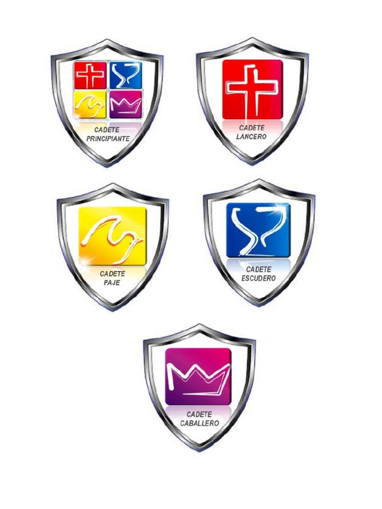 Insignias Programa de Cadetes | PDF