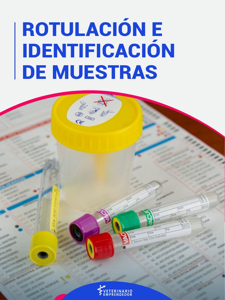 Rotulación y Identificación de Muestras | PDF | Histopatología ...