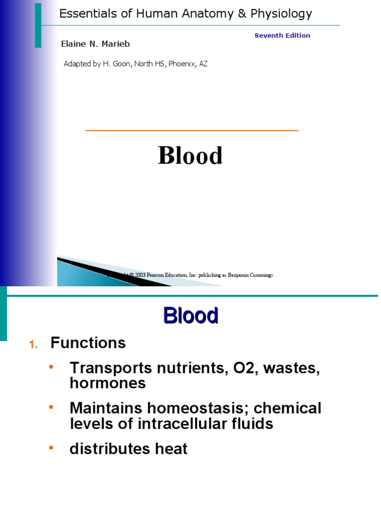 Blood | PDF | White Blood Cell | Granulocyte